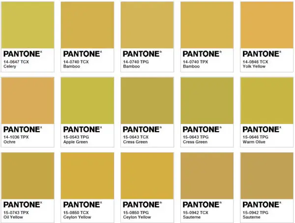 Pantone swatches | BLUE HARE MAGAZINE