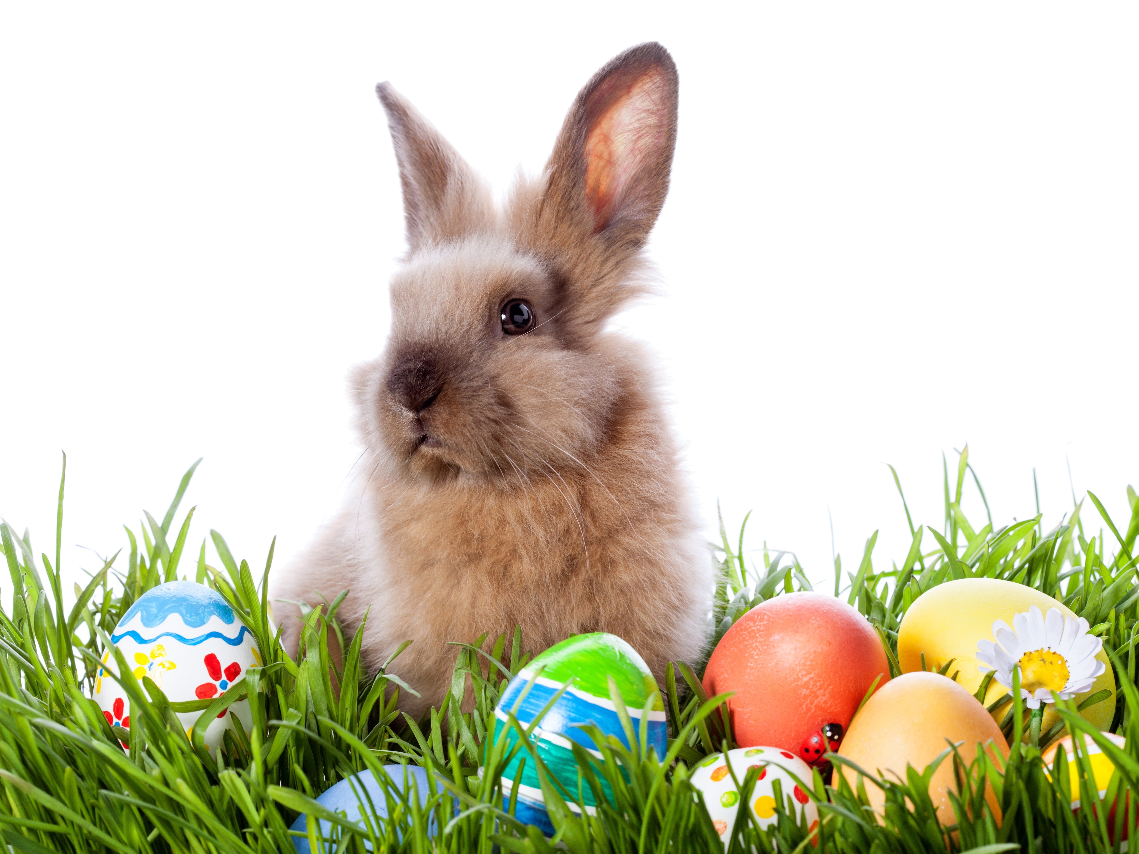 Do you know the stories behind these curious Easter traditions? | BLUE ...