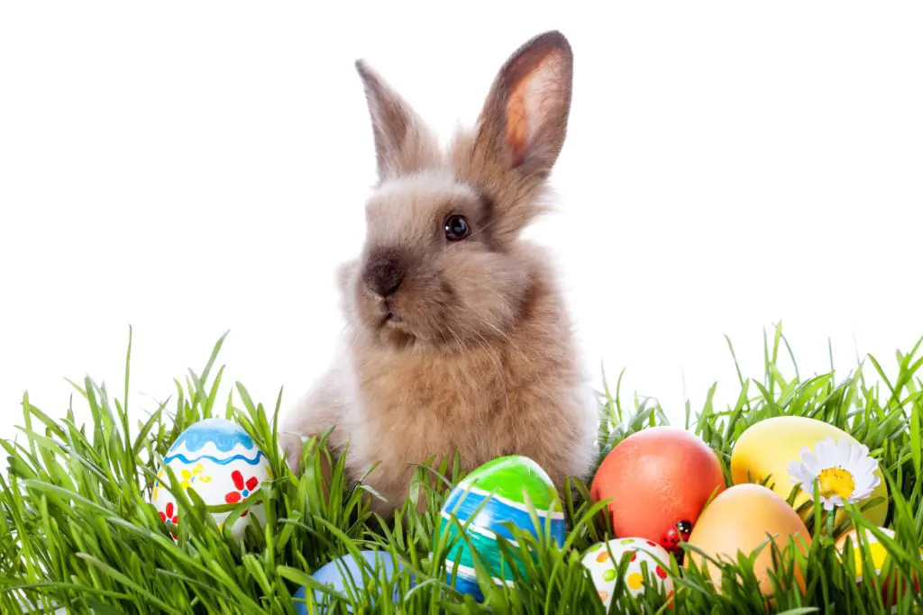 Do you know the stories behind these curious Easter traditions? | BLUE ...