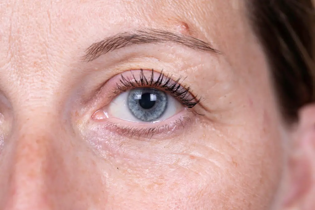 Want perfect brows? Here’s how. | BLUE HARE MAGAZINE